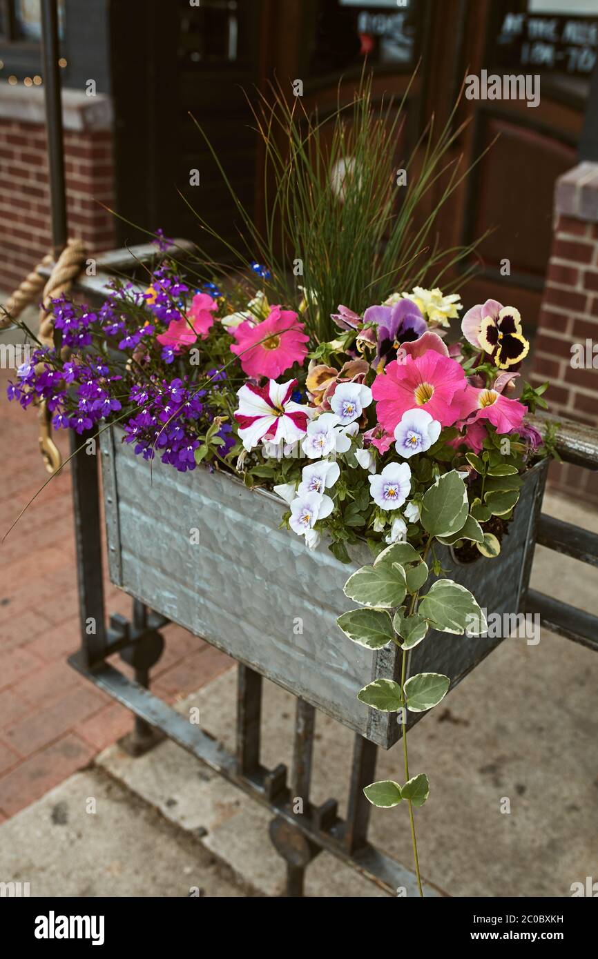 Planters Box High Resolution Stock Photography and Images - Alamy