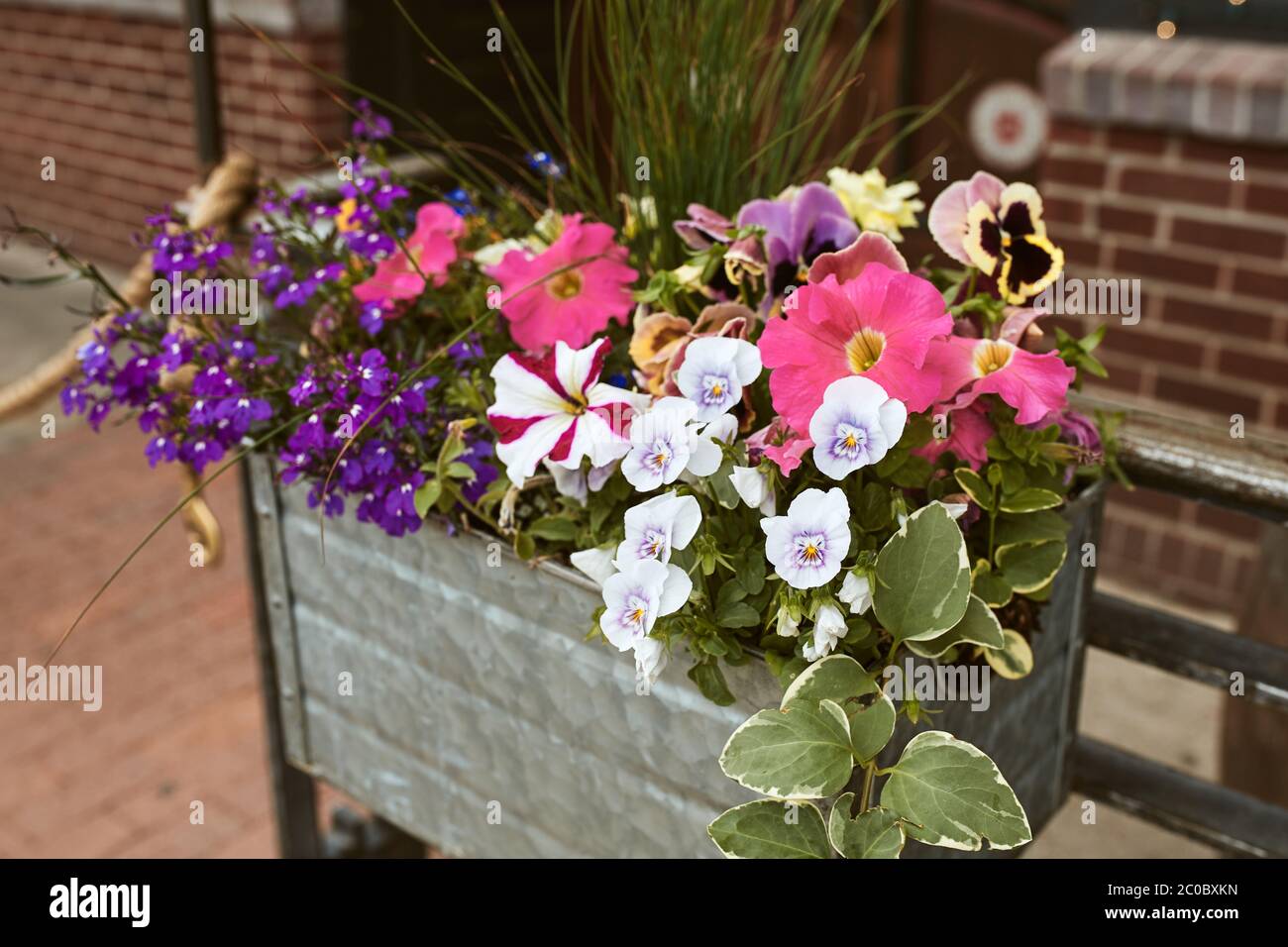 Planters Box High Resolution Stock Photography and Images - Alamy