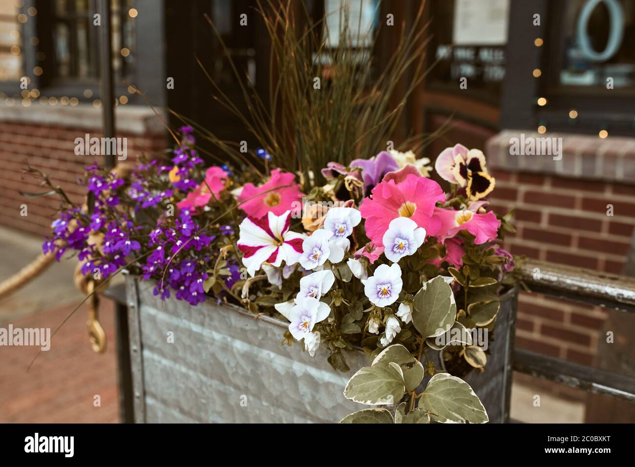Planters Box High Resolution Stock Photography and Images - Alamy