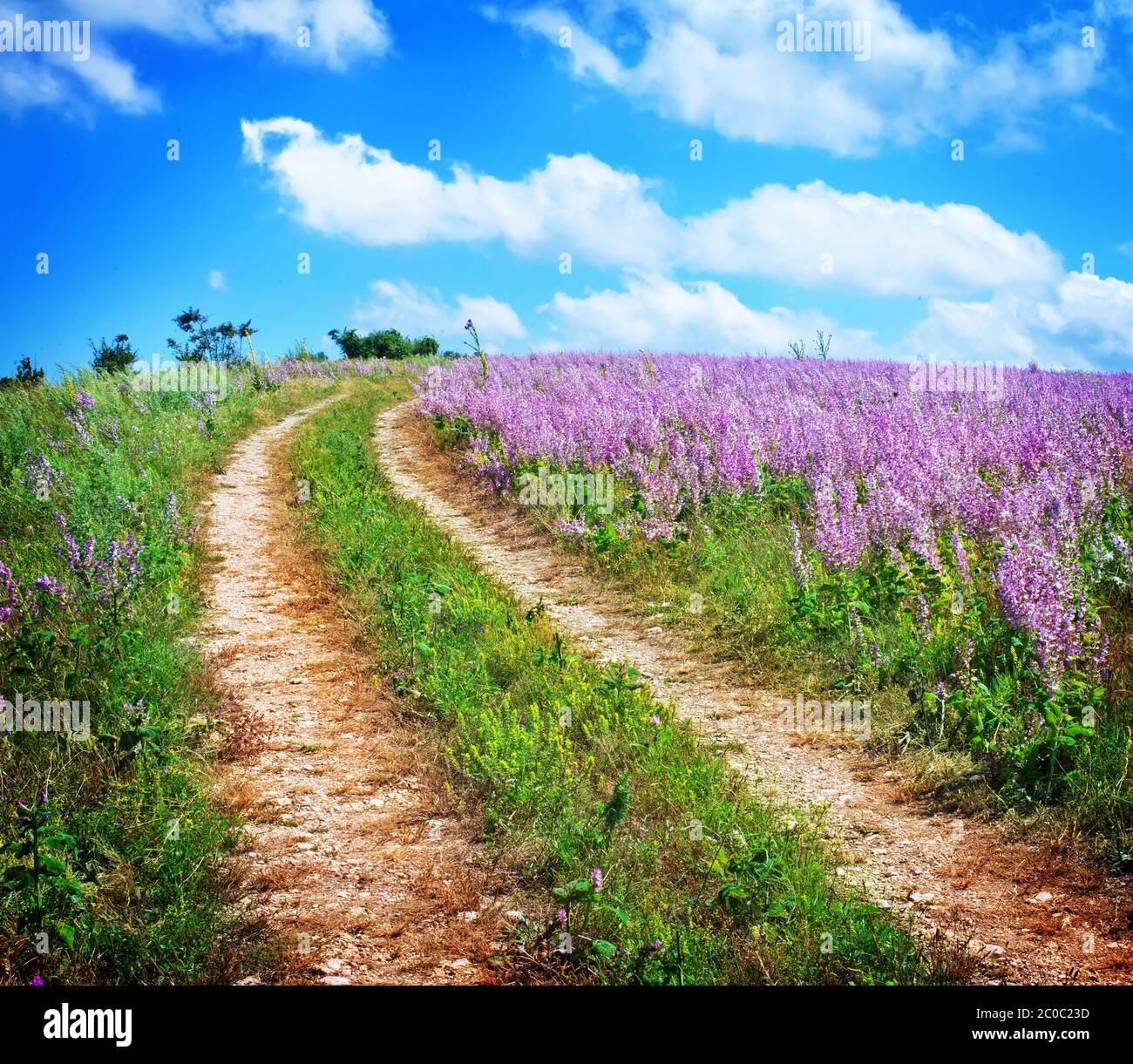 nature in Crimea Stock Photo - Alamy