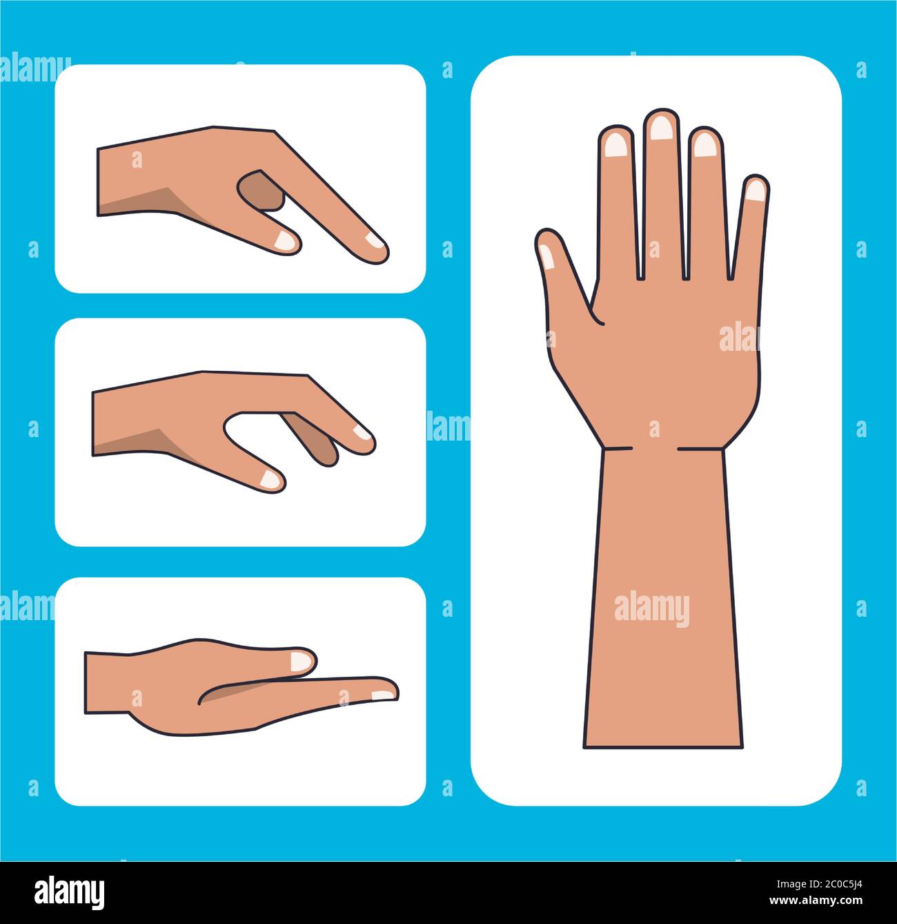 hands human with differents positions vector illustration design Stock ...