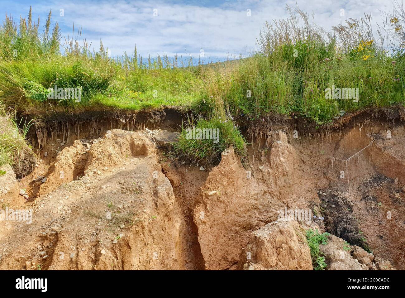 Cut of soil with different layers and grass Stock Photo - Alamy