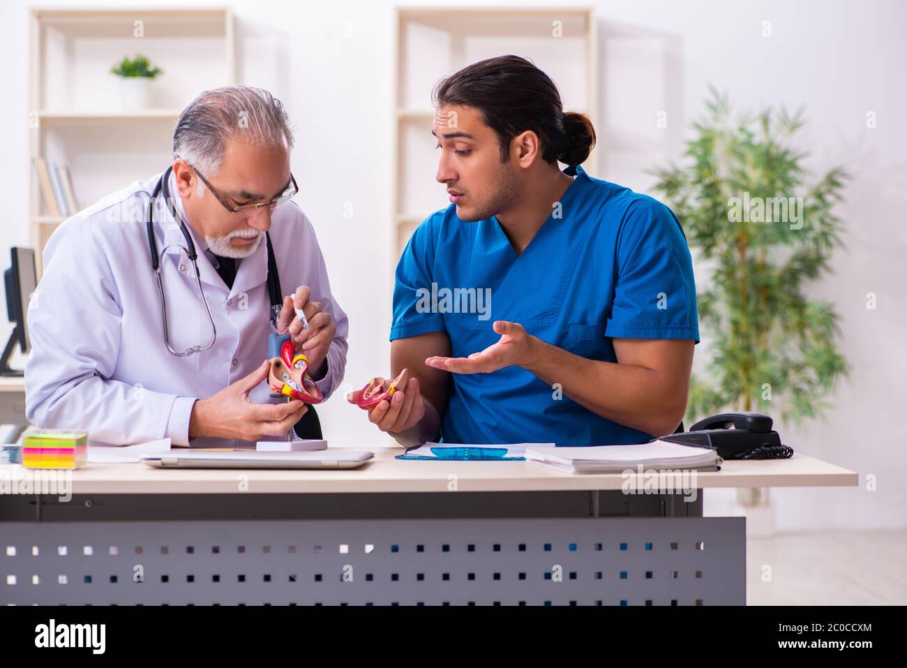 Two male doctors working in the modern clinic Stock Photo - Alamy