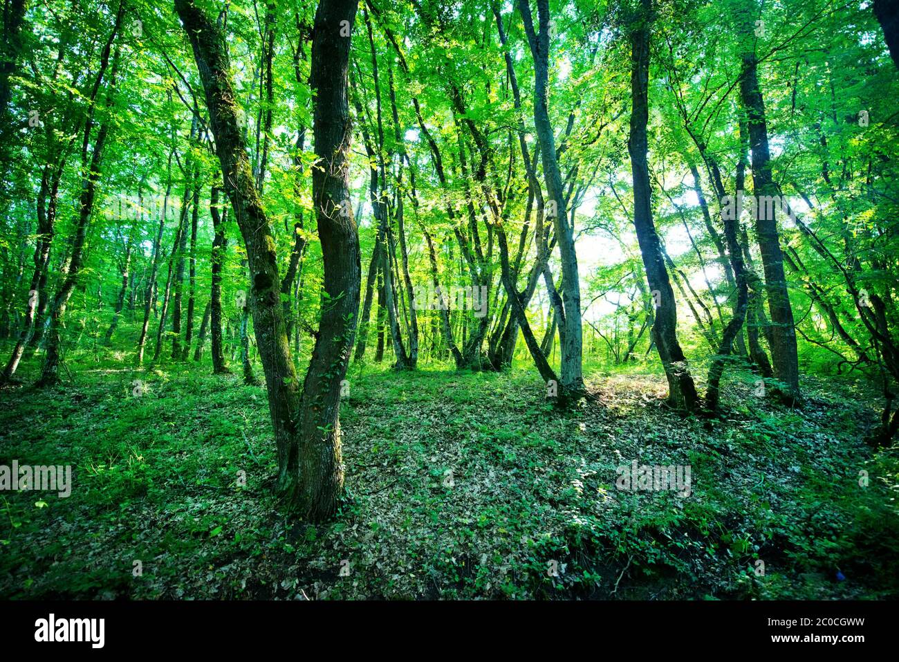 Road to marki hi-res stock photography and images - Alamy