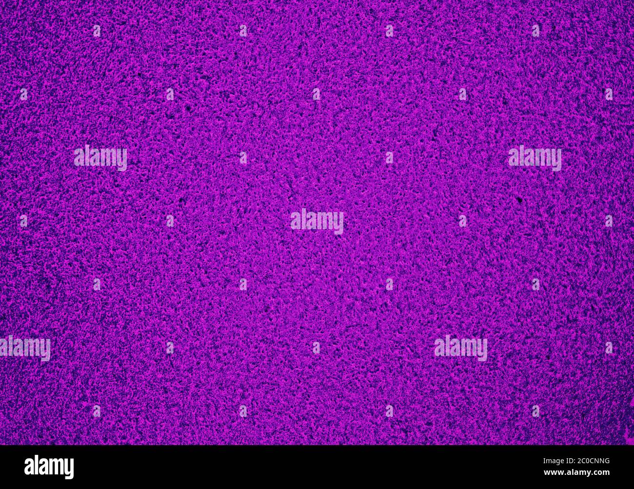 MAUVE PURPLE BACKGROUND TEXTURE FOR GRAPHIC DESIGN. High quality photo ...
