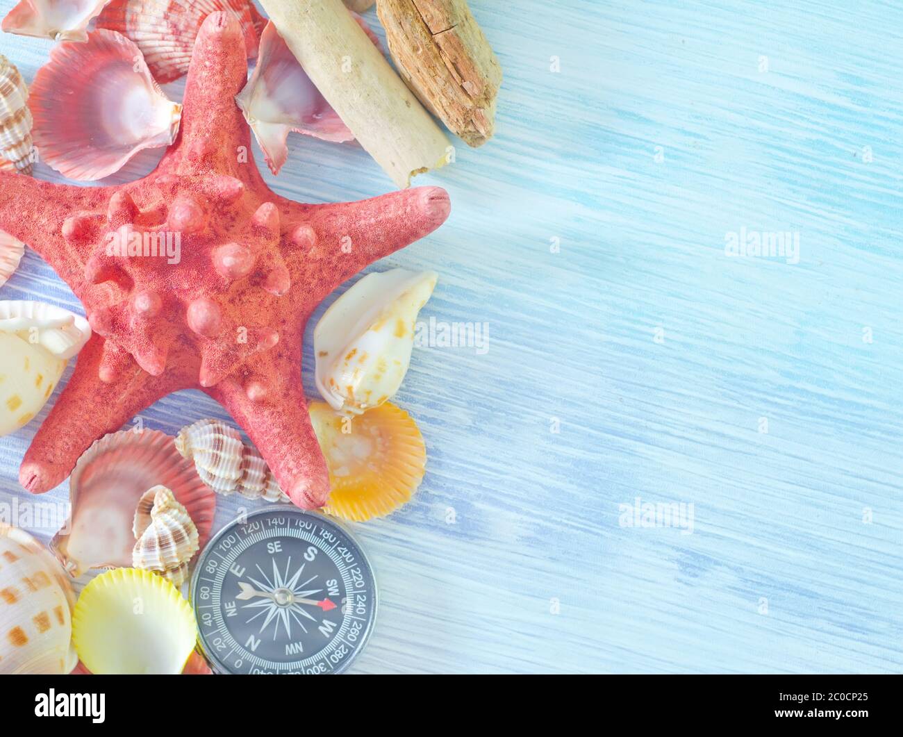 sea shells and compass Stock Photo - Alamy