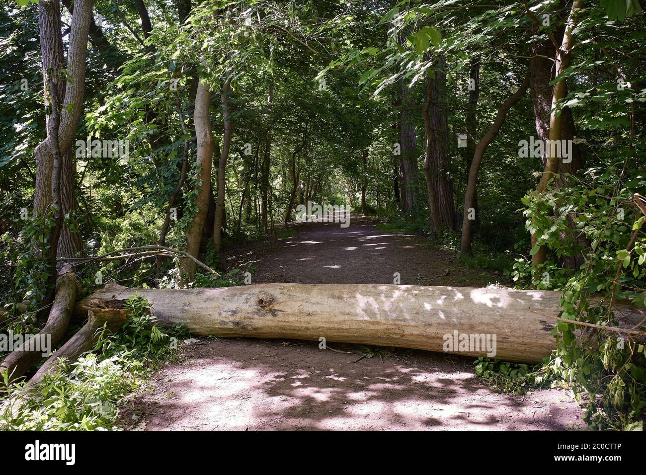 Fallen blocks hi-res stock photography and images - Alamy