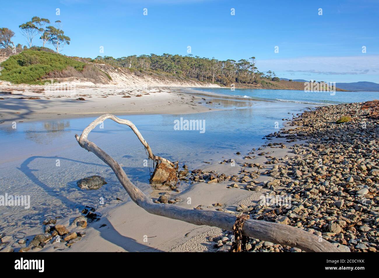 Four Mile Beach on Maria Island Stock Photo - Alamy