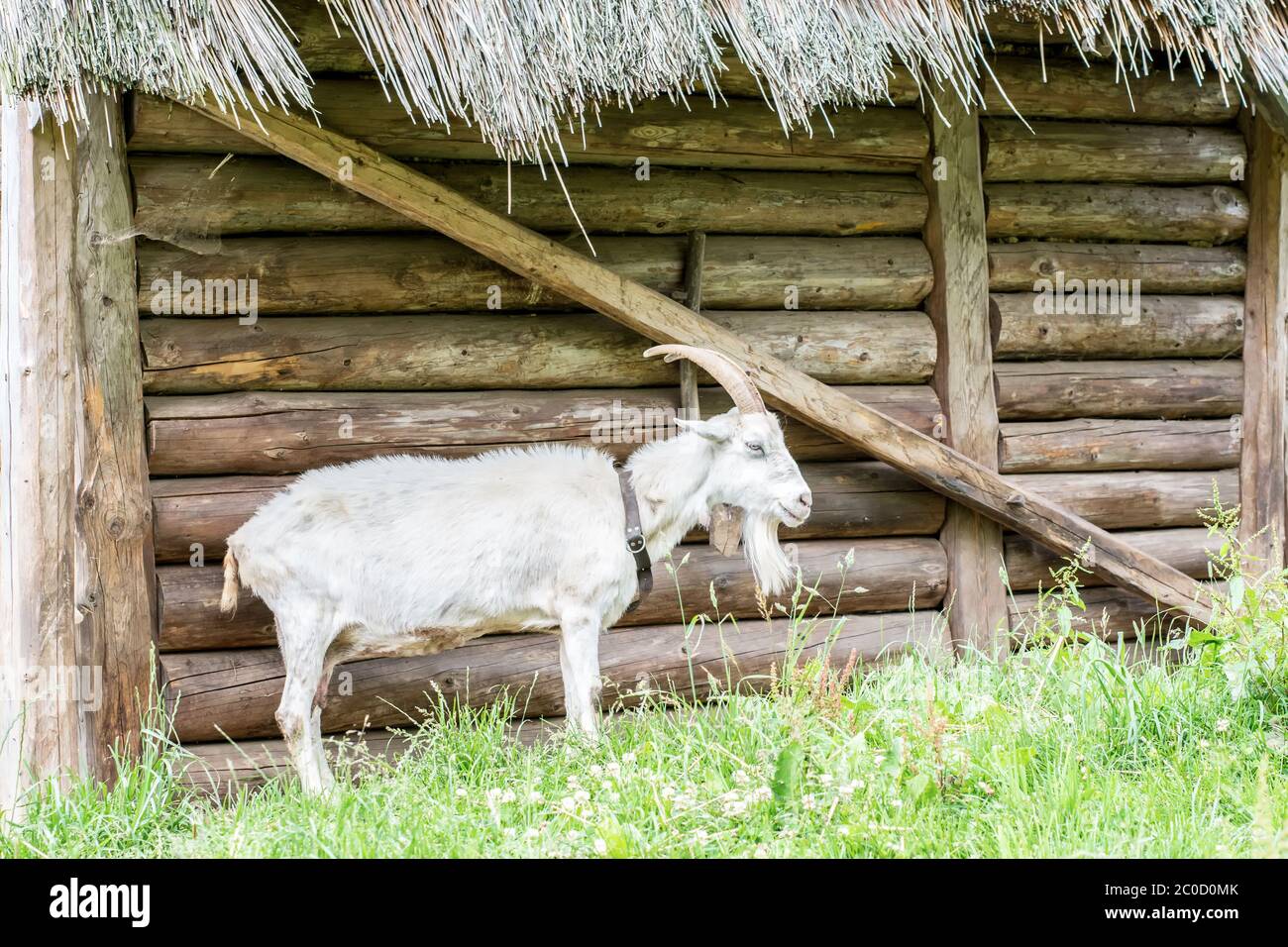 Sty hi-res stock photography and images - Alamy