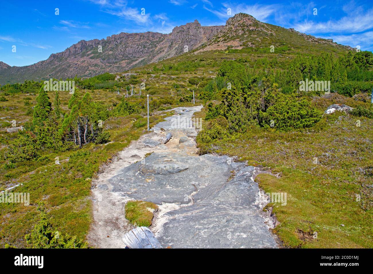 Hiking trail to Mt Ossa, Tasmania's highest peak Stock Photo - Alamy