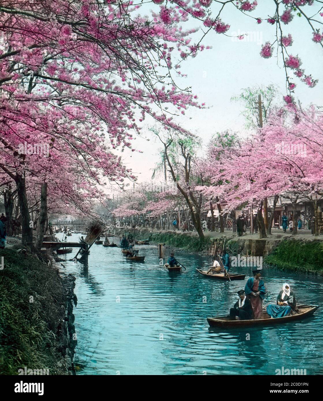 [ 1900s Japan - Edogawa River ] — People in pleasure boats on the ...