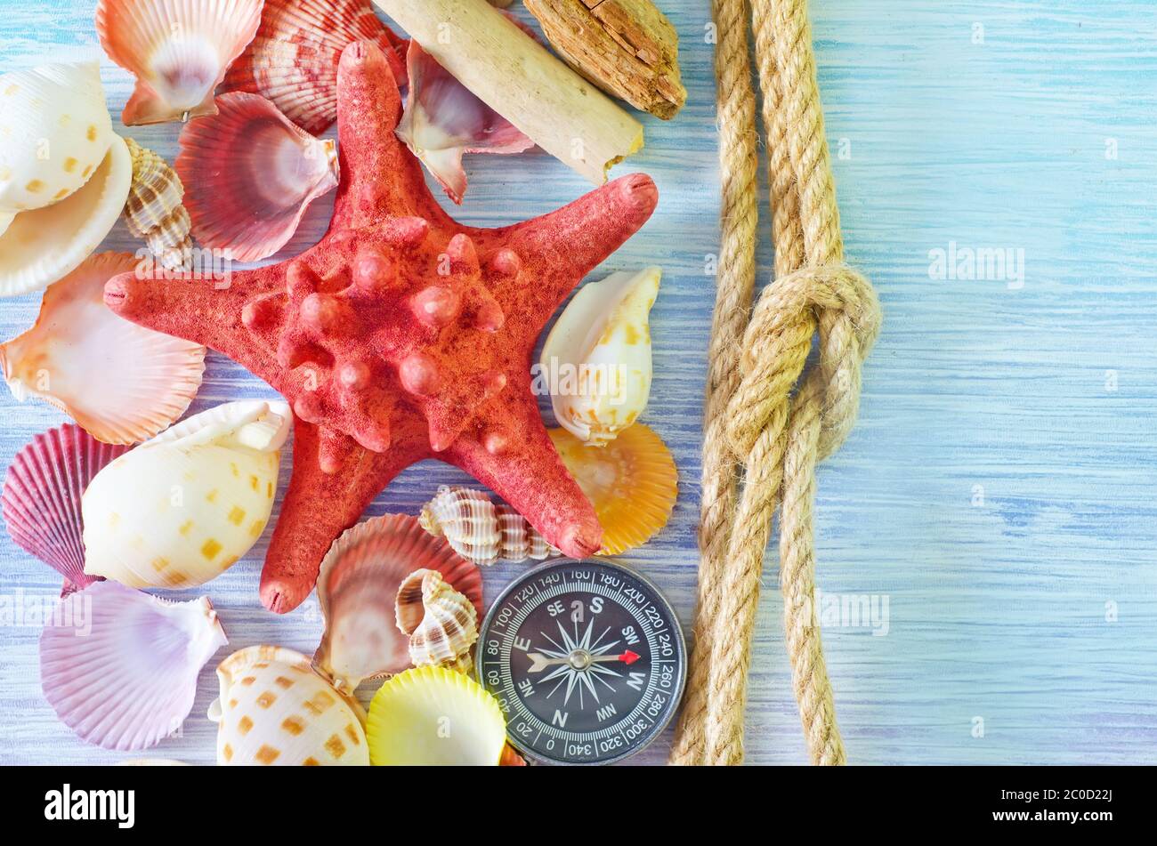 sea shells and compass Stock Photo - Alamy