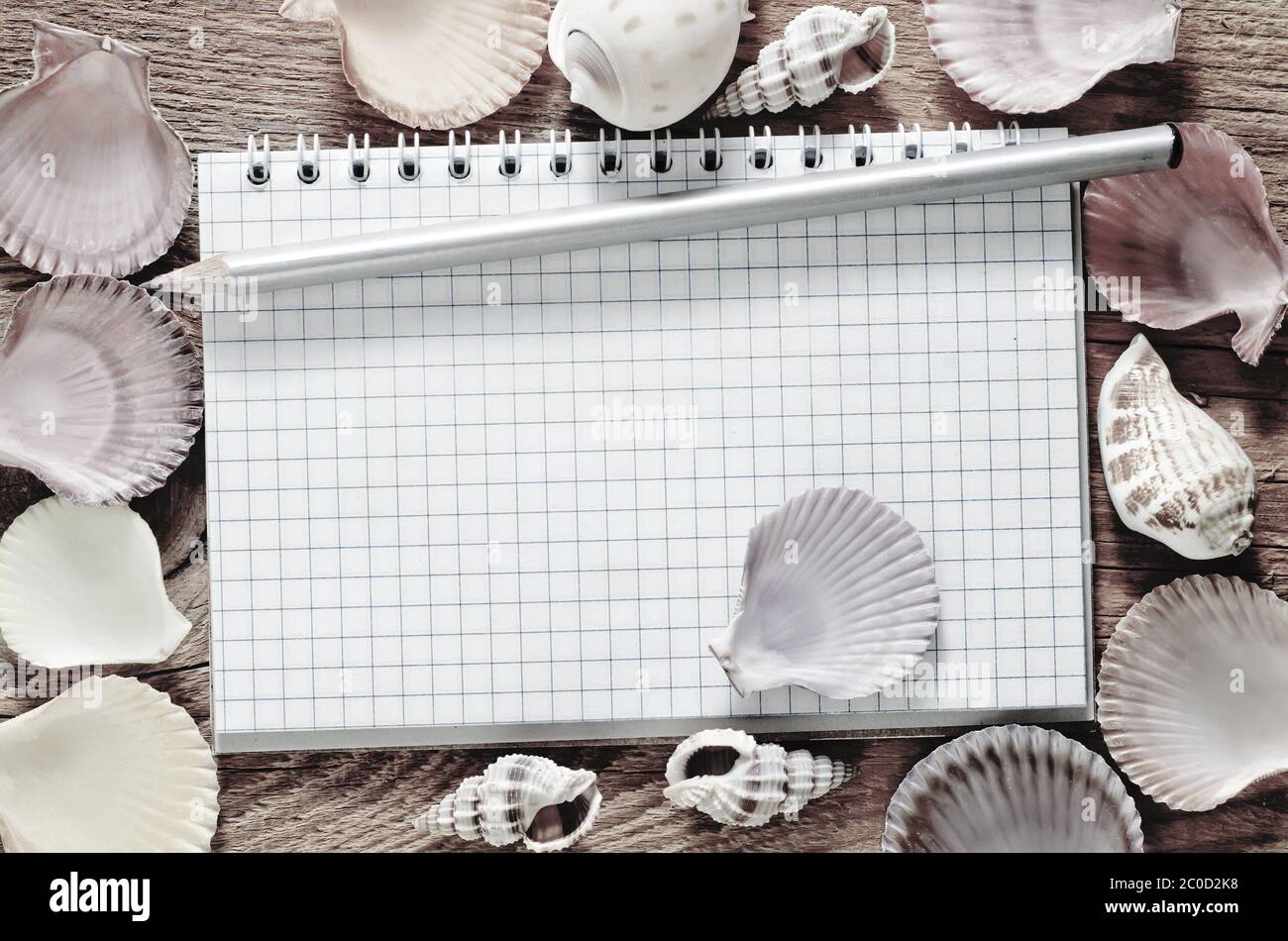 shells and note Stock Photo - Alamy