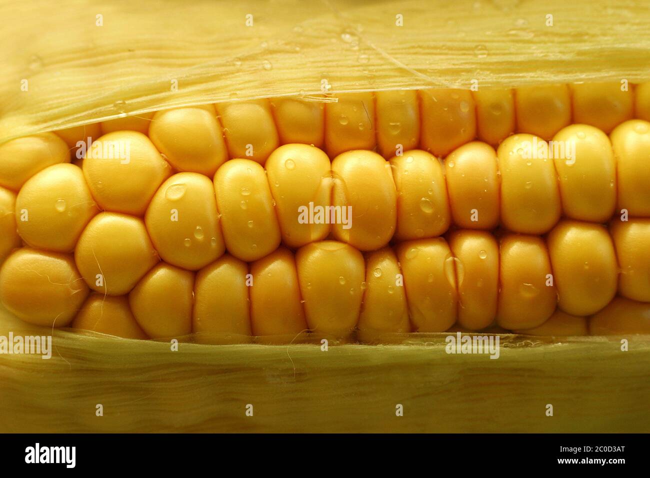 Wet maize hi-res stock photography and images - Alamy