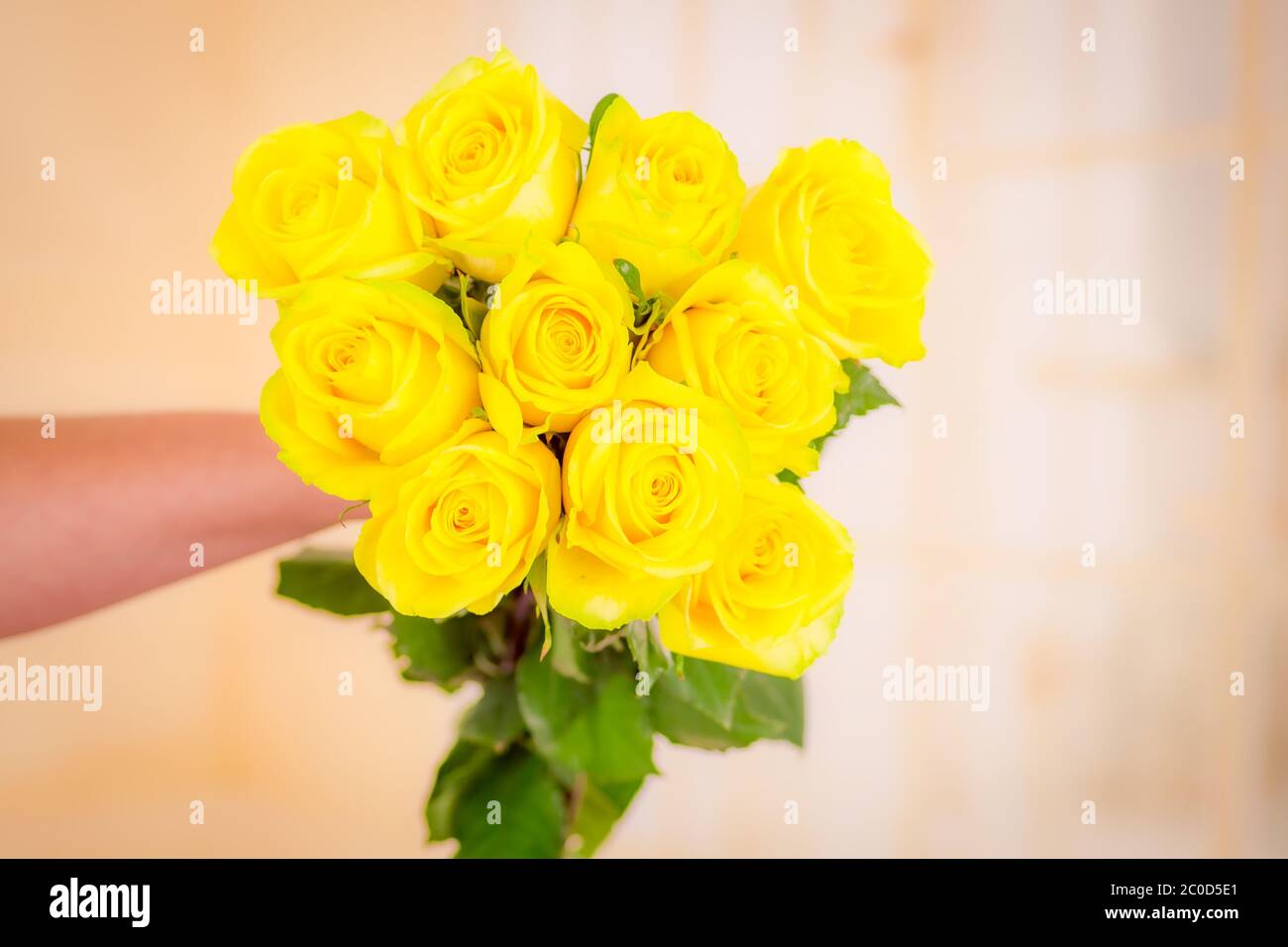 Stardust rose hi-res stock photography and images - Alamy