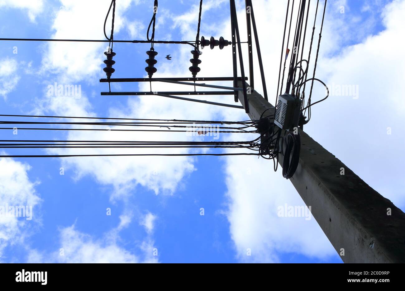 Part of communication lines and power lines installed on electric pole ...