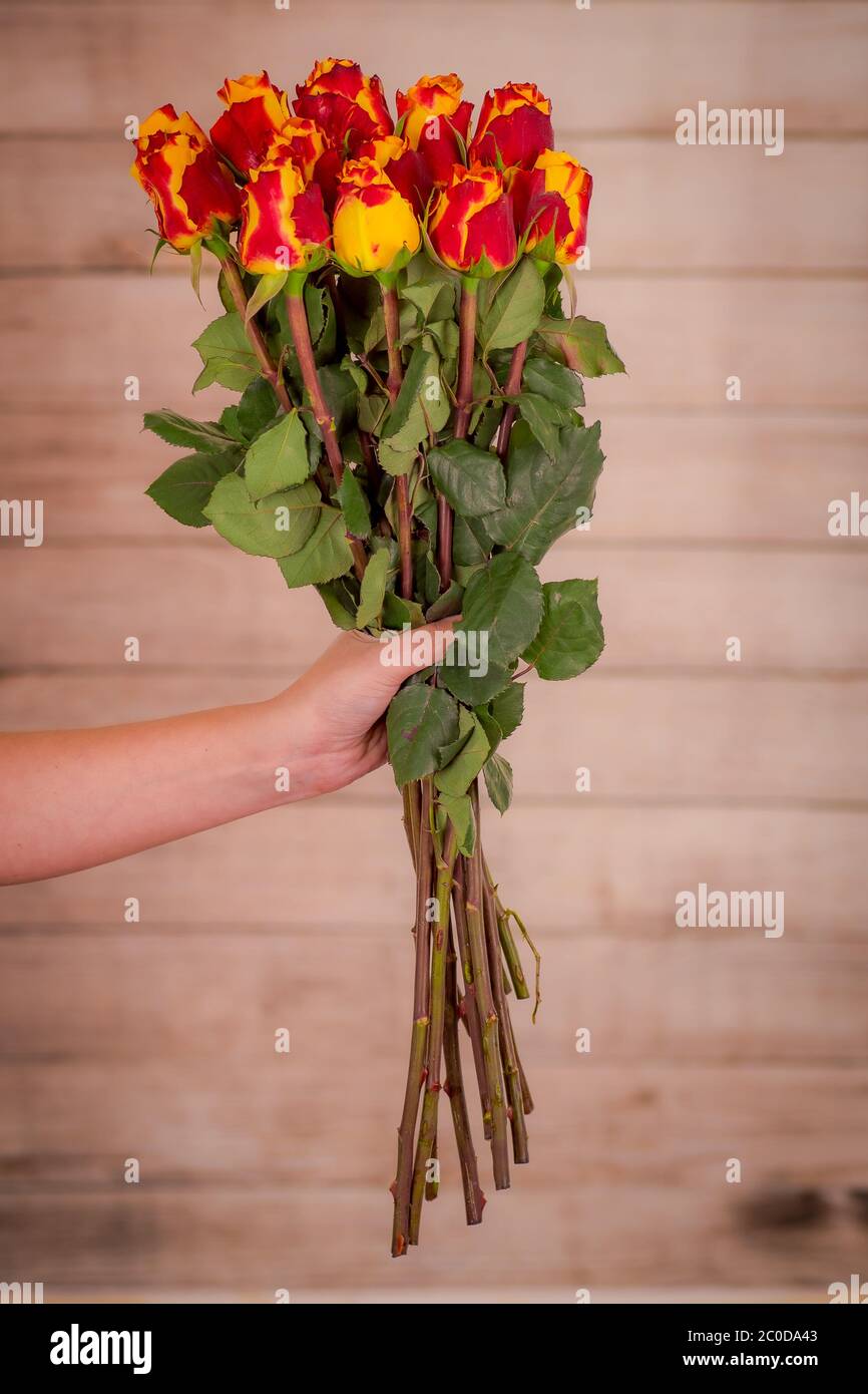 Women hand holding a bouquet of Silantoi roses variety, studio shot ...
