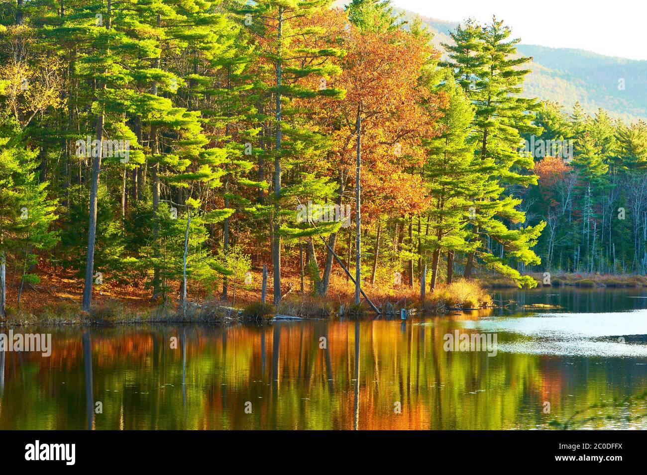 Pond in White Mountain National Forest, New Hampshire Stock Photo - Alamy