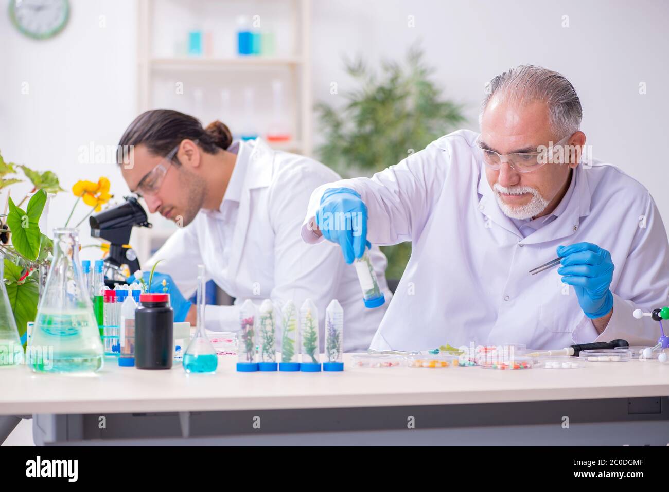 Two chemists working in the laboratory Stock Photo - Alamy