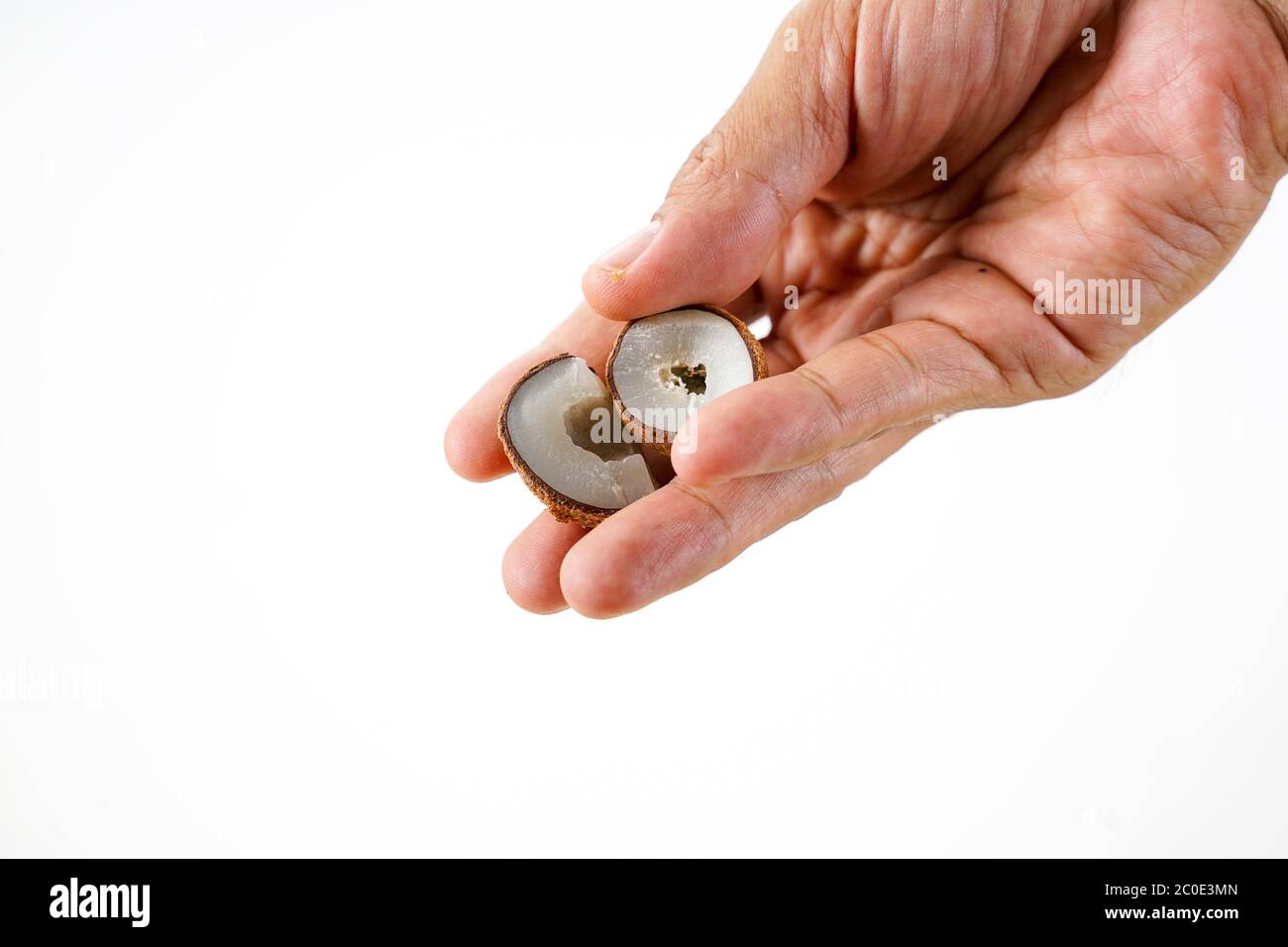 Doum Doum High Resolution Stock Photography and Images - Alamy