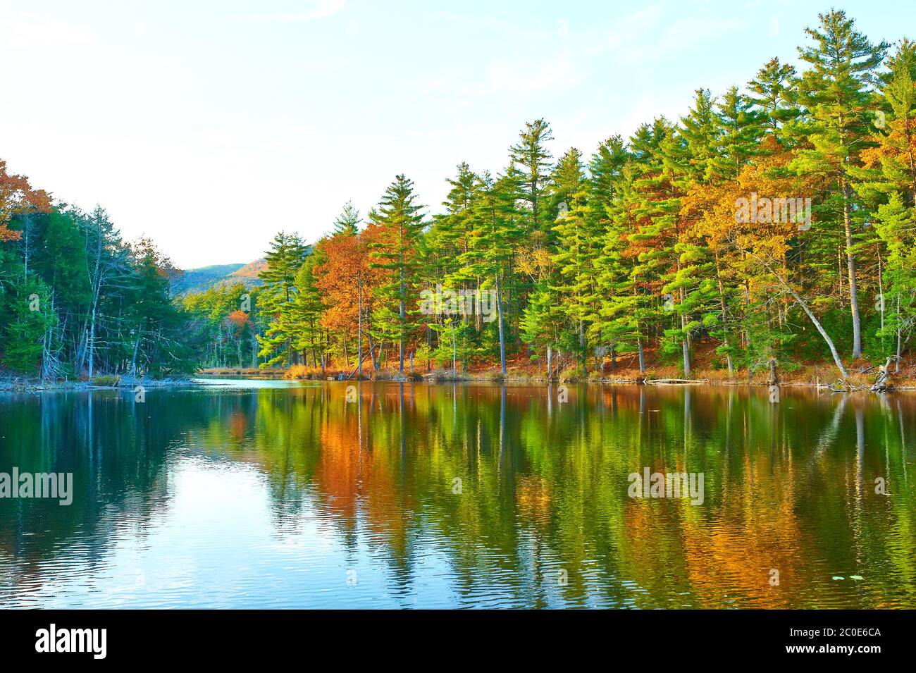 Pond in White Mountain National Forest, New Hampshire Stock Photo - Alamy