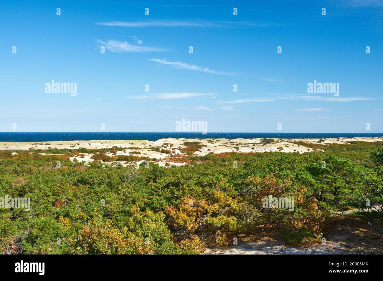 Landscape at Cape Cod Stock Photo - Alamy