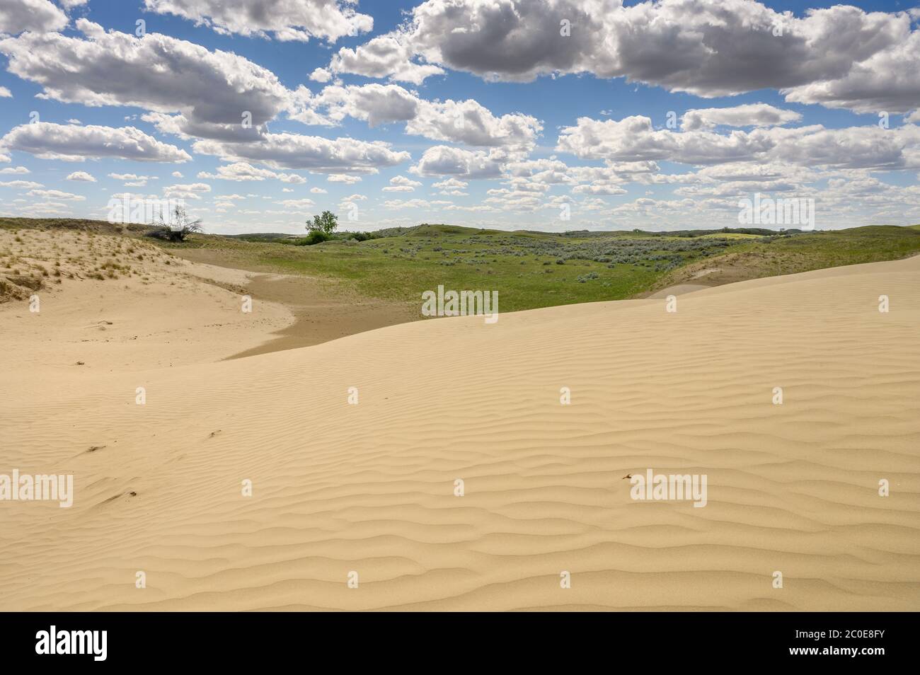 Landscape of the Great Sandhills near the town of Leader, Saskatchewan ...