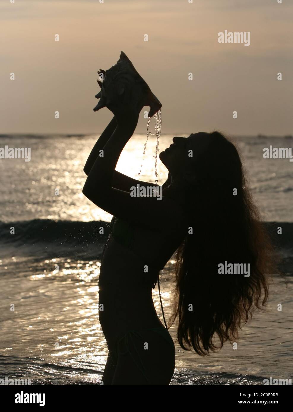 Ear shell woman hi-res stock photography and images - Alamy