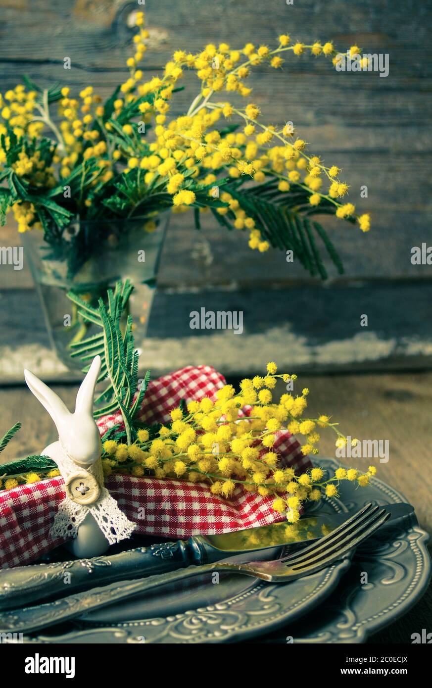 spring time, yellow mimosa flowers Stock Photo - Alamy