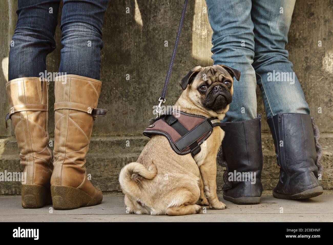 Flashback hi-res stock photography and images - Alamy