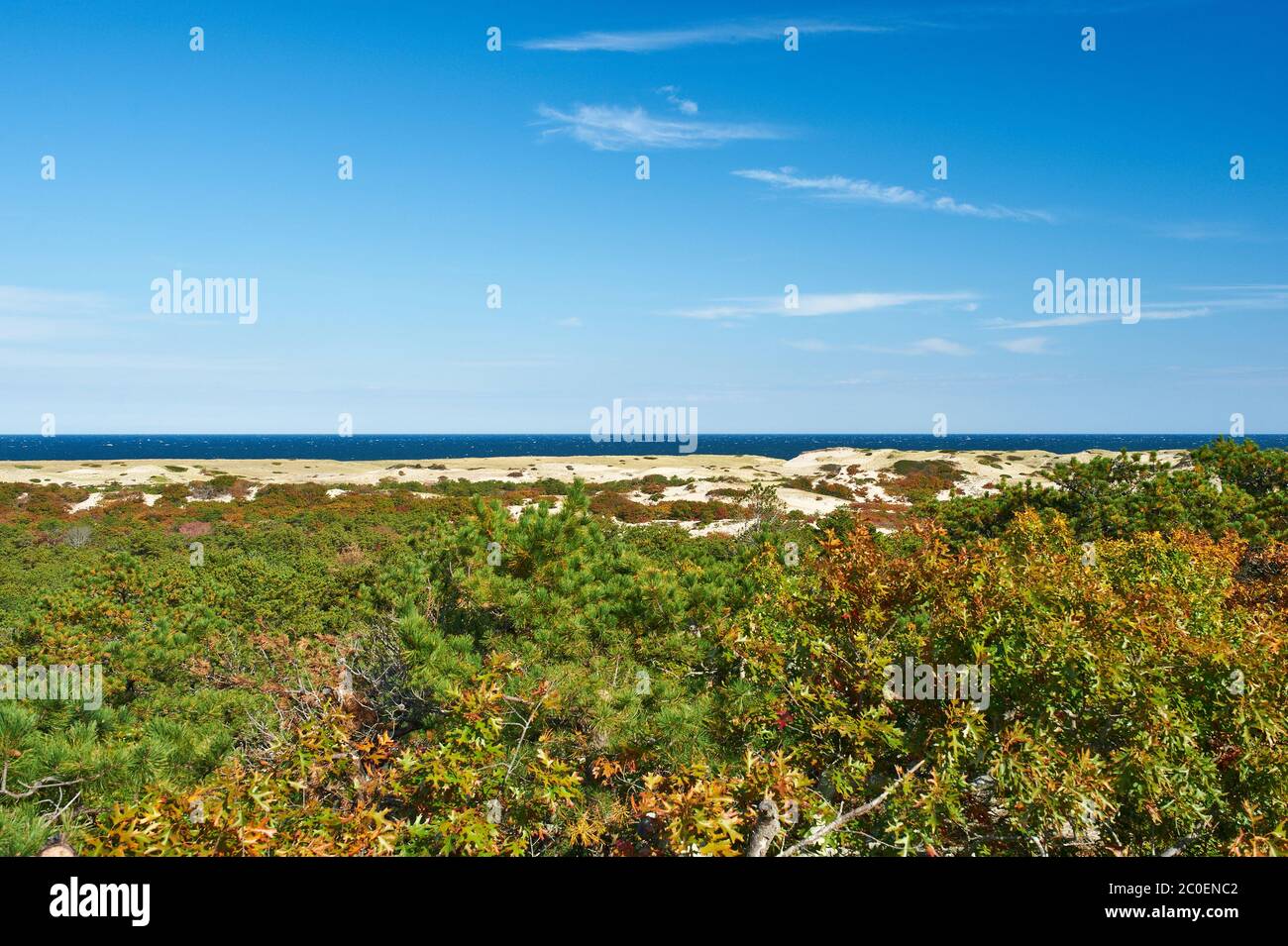Landscape at Cape Cod Stock Photo - Alamy
