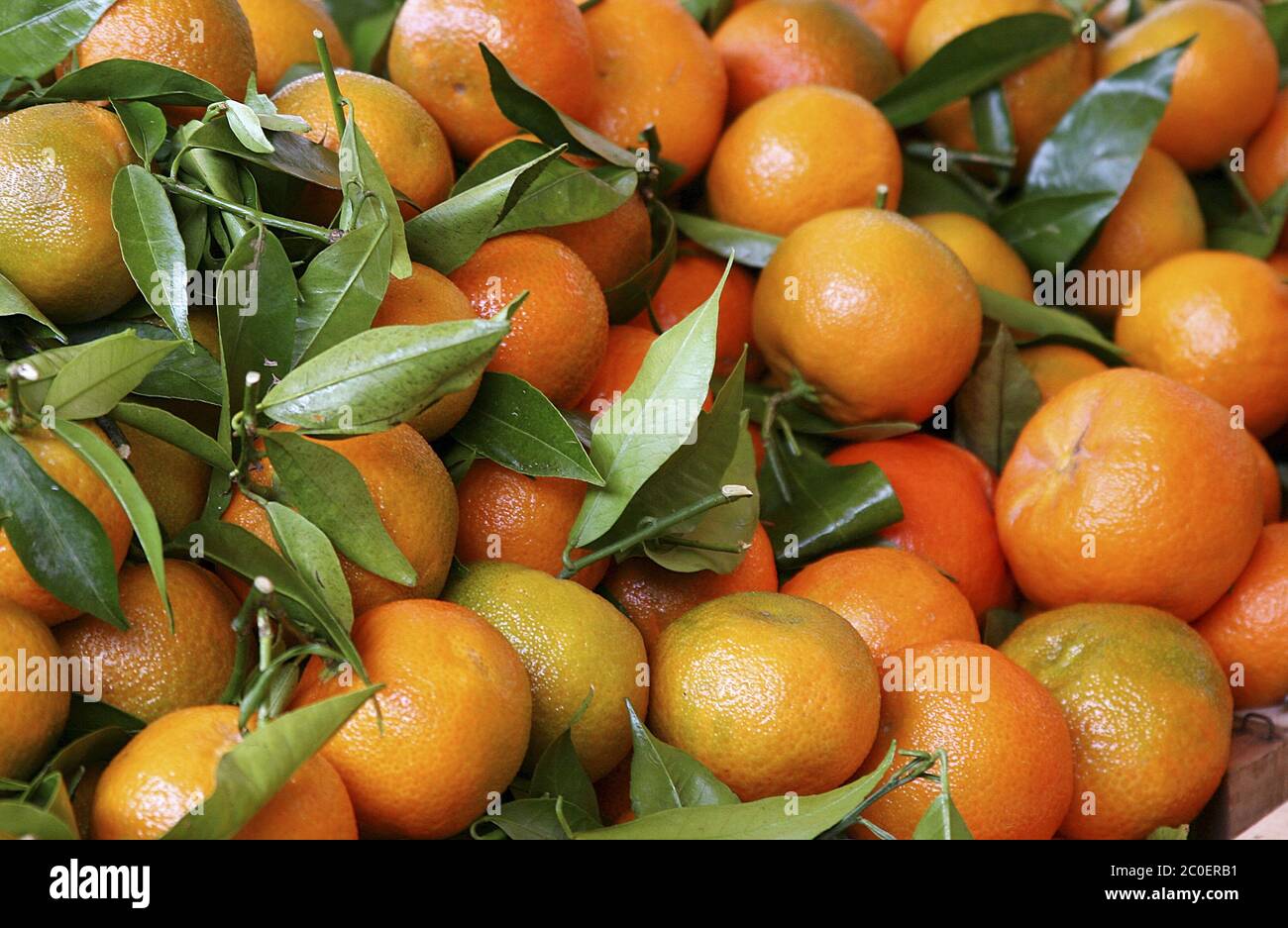 Clementinen hi-res stock photography and images - Alamy