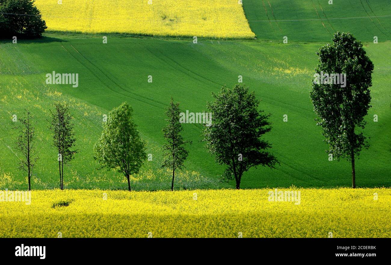 Greenyellowfields hi-res stock photography and images - Alamy