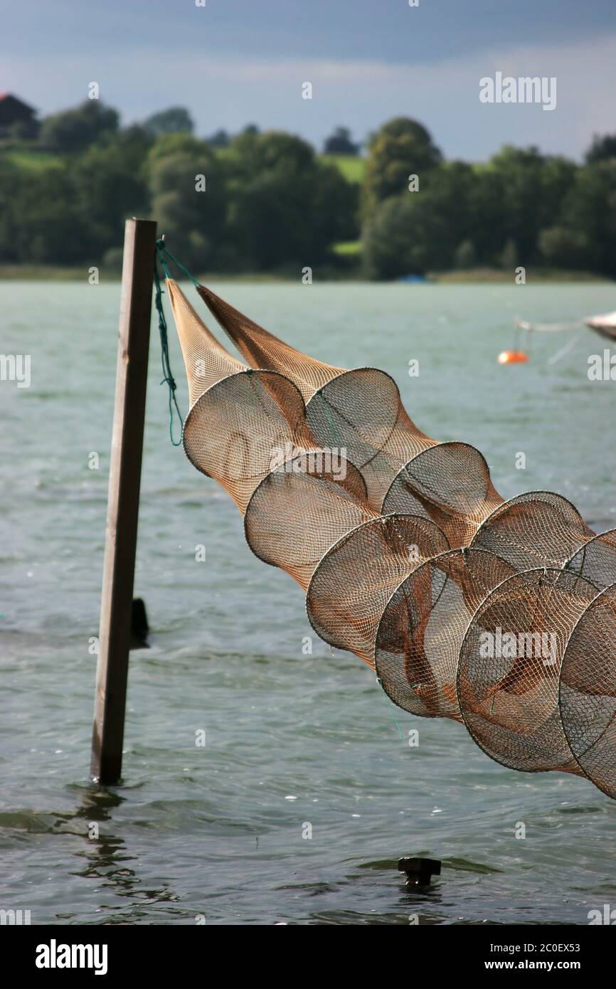 Chiemsee fish hi-res stock photography and images - Alamy
