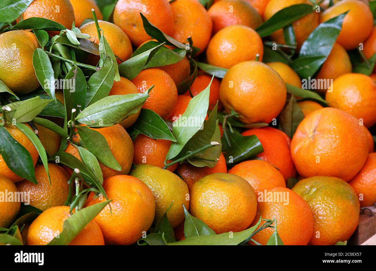 Clementinen hi-res stock photography and images - Alamy