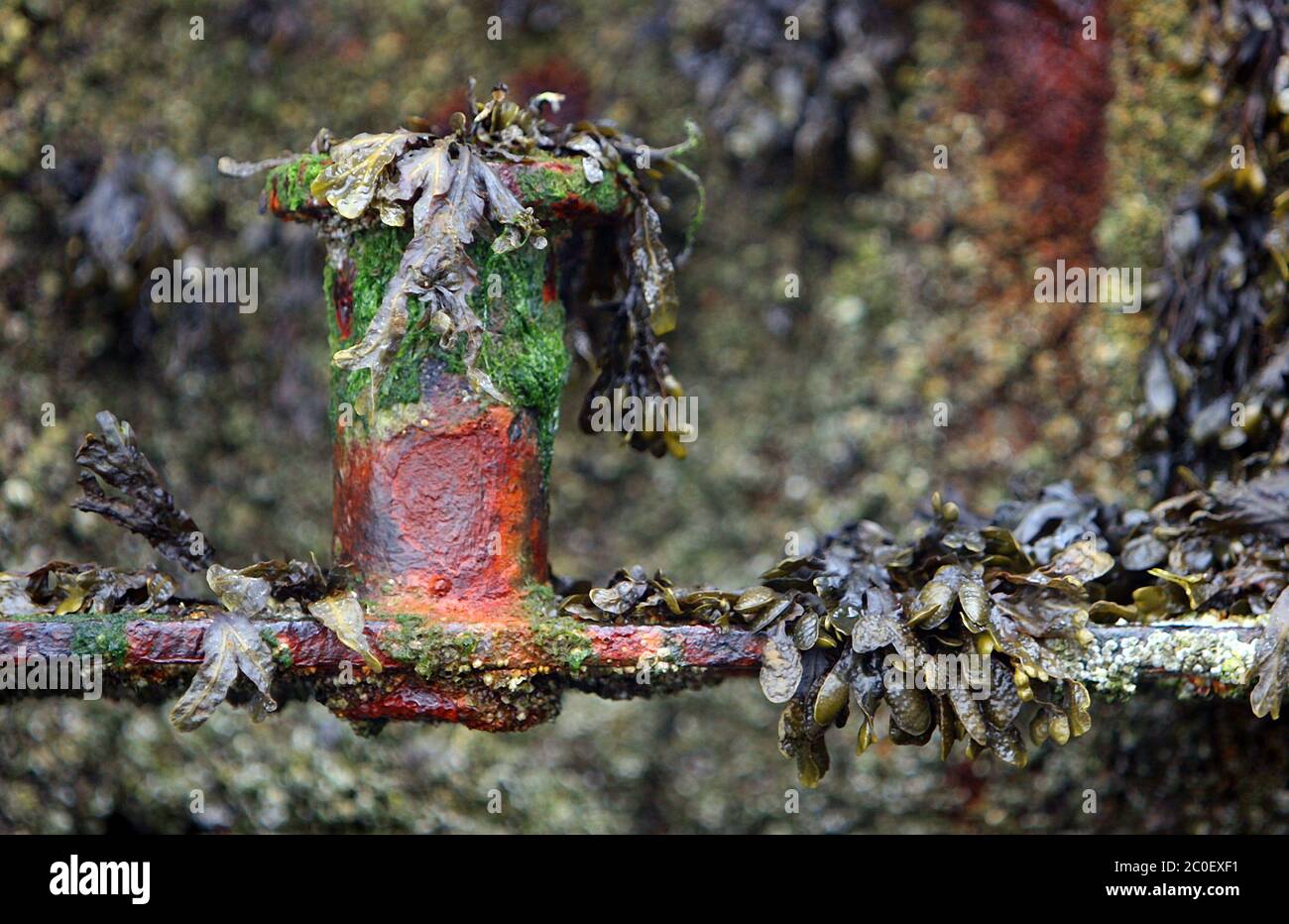 Spundwand hi-res stock photography and images - Alamy