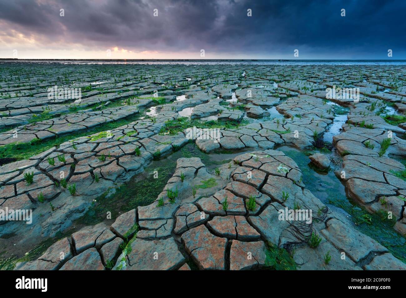 cracked sea coast at low tide during sunset Stock Photo - Alamy