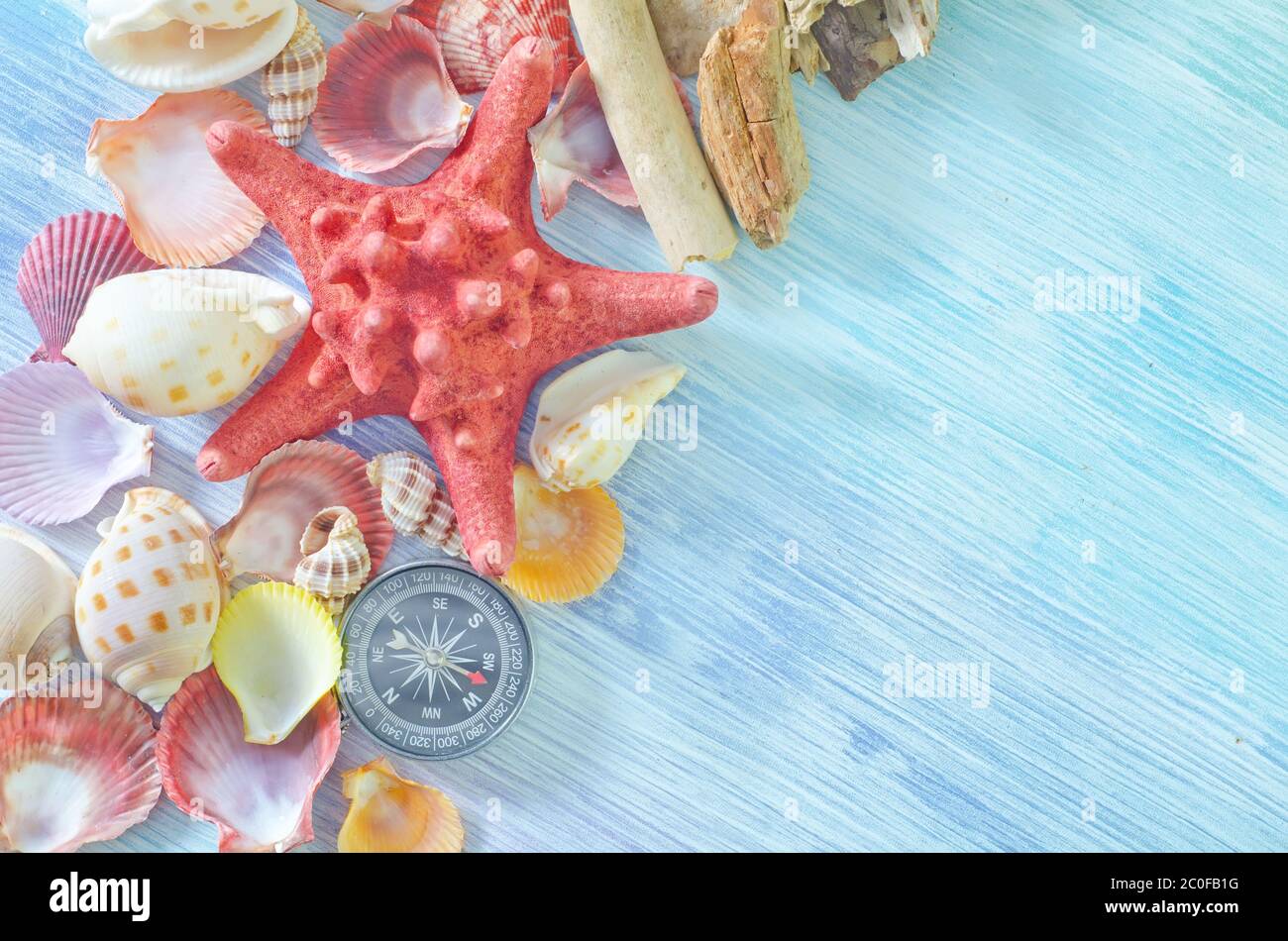sea shells and compass Stock Photo - Alamy