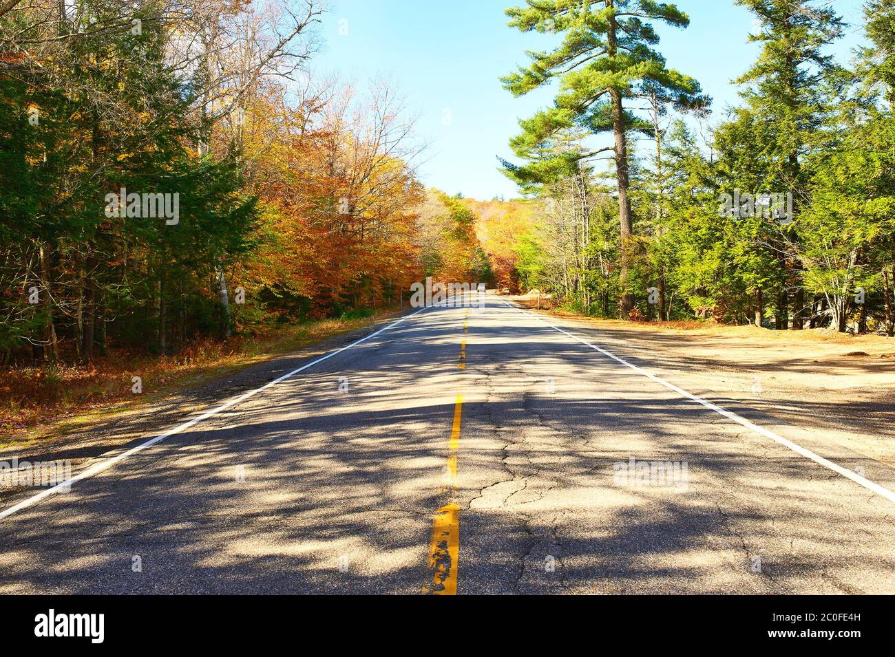 Autumn scene with road Stock Photo - Alamy