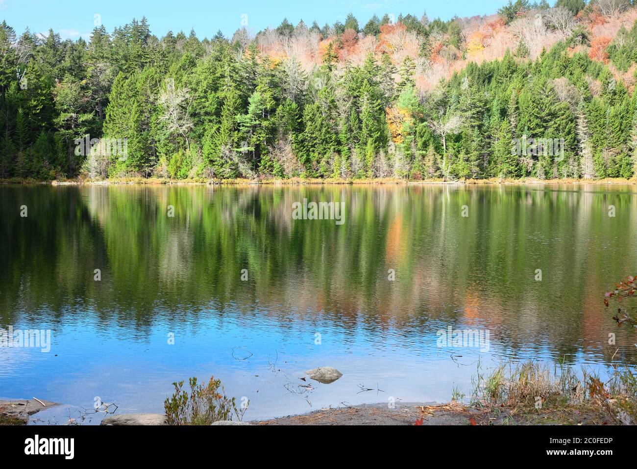 Pond in White Mountain National Forest, New Hampshire Stock Photo - Alamy