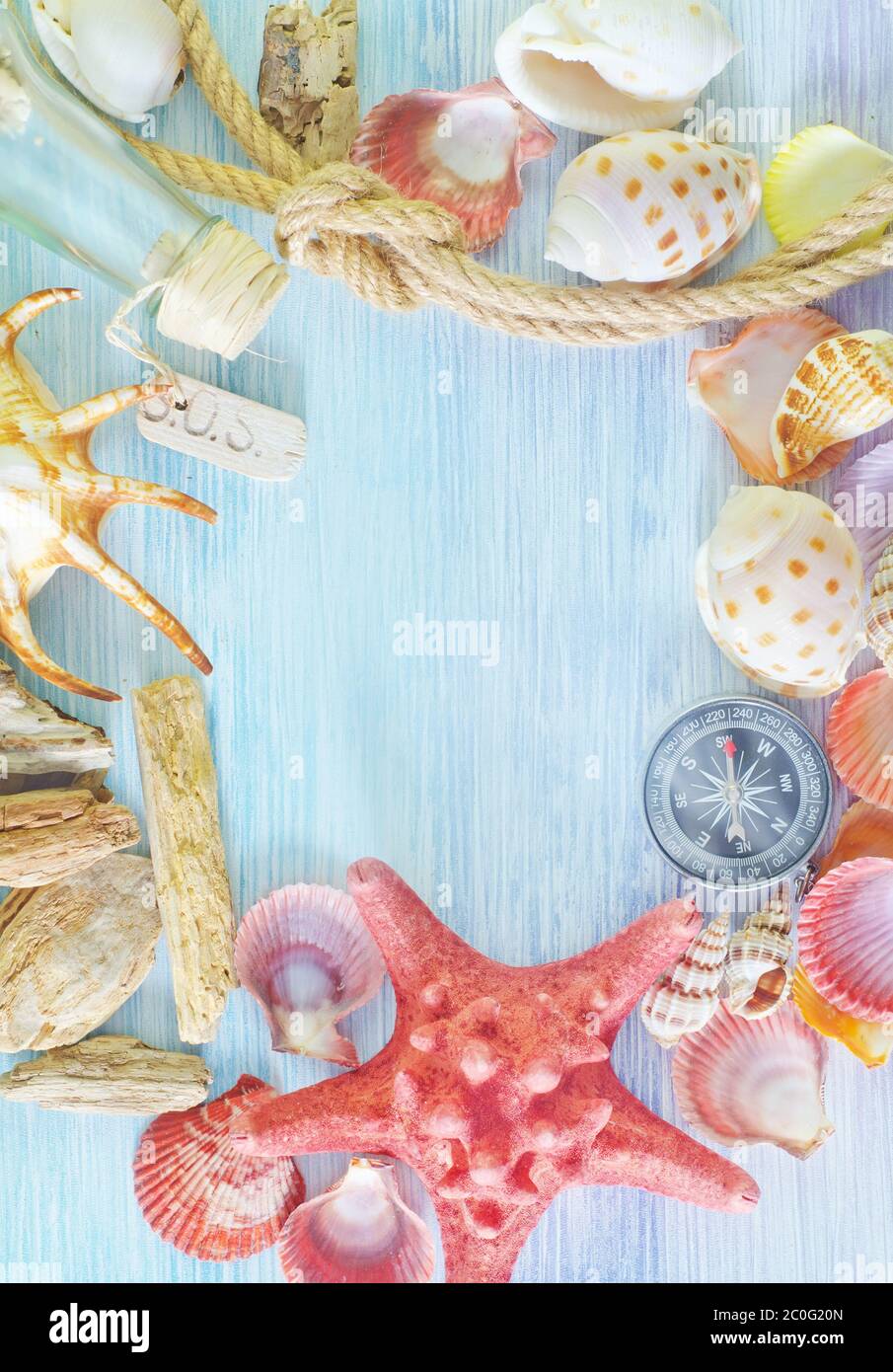 sea shells and compass Stock Photo - Alamy