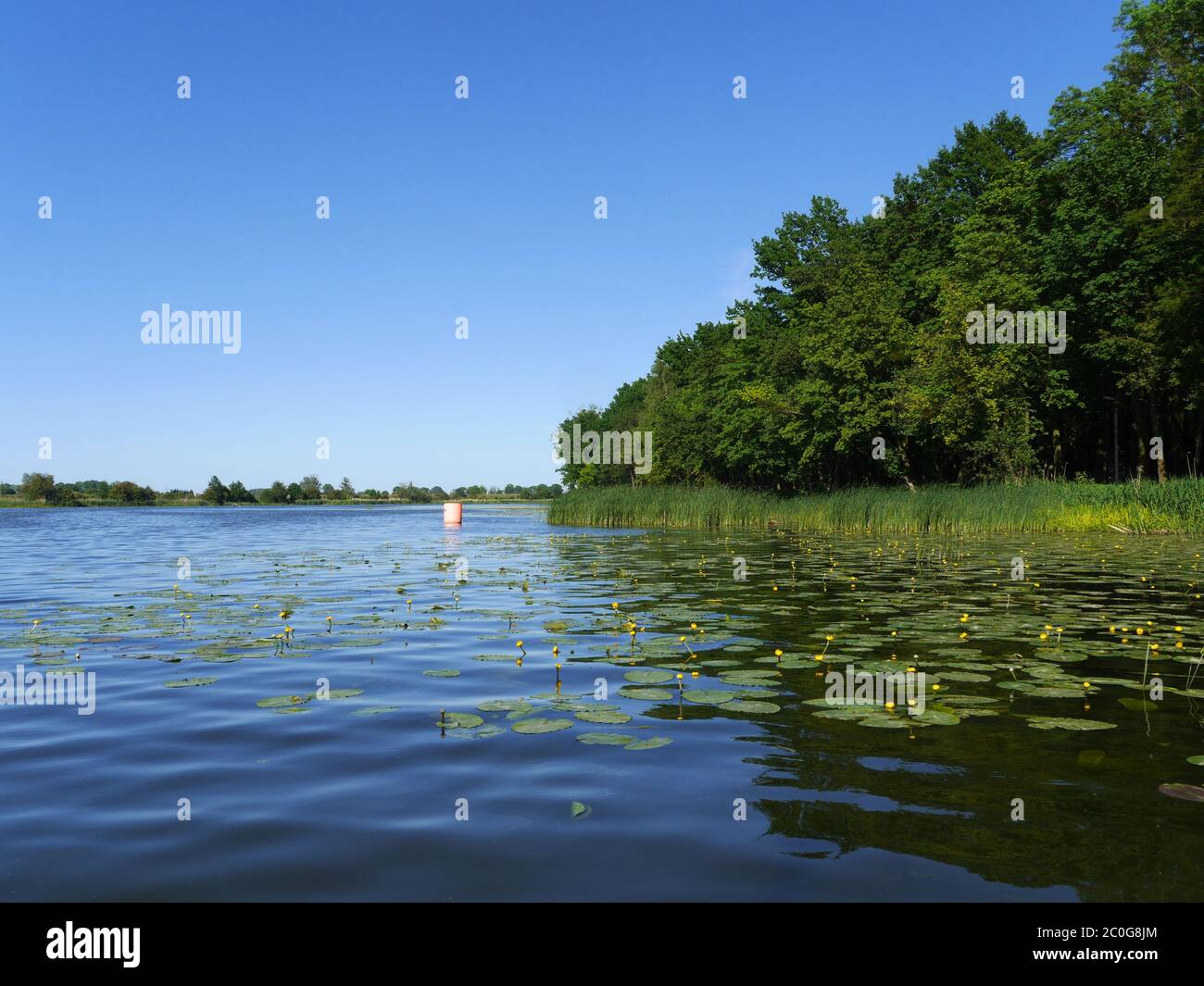 Nogat hi-res stock photography and images - Alamy