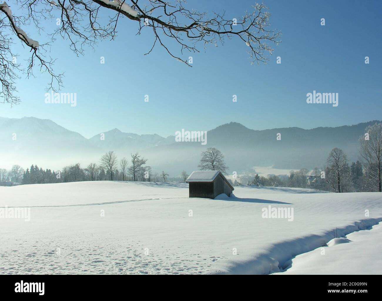 Christmas tree in upper bavaria hi-res stock photography and images - Alamy