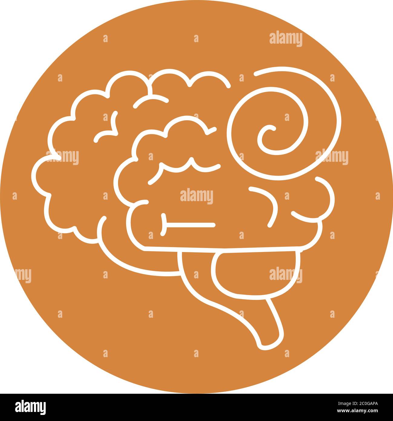 Memory block and brain Cut Out Stock Images & Pictures - Alamy