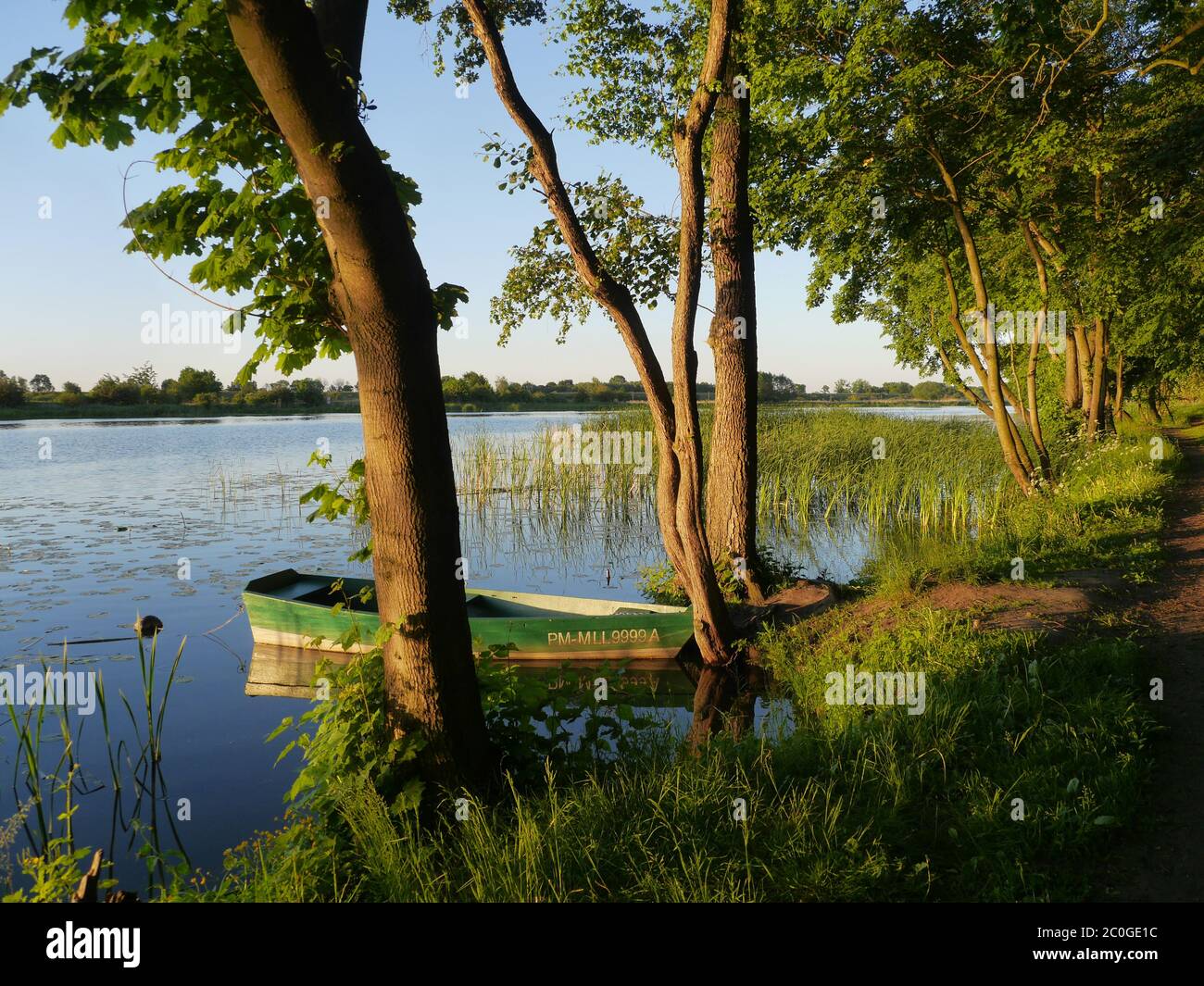 Nogat green hi-res stock photography and images - Alamy