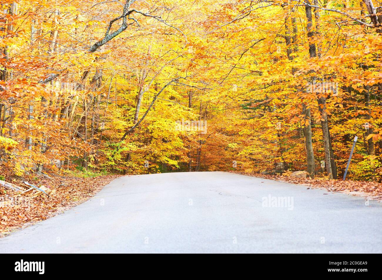 Autumn scene with road Stock Photo - Alamy