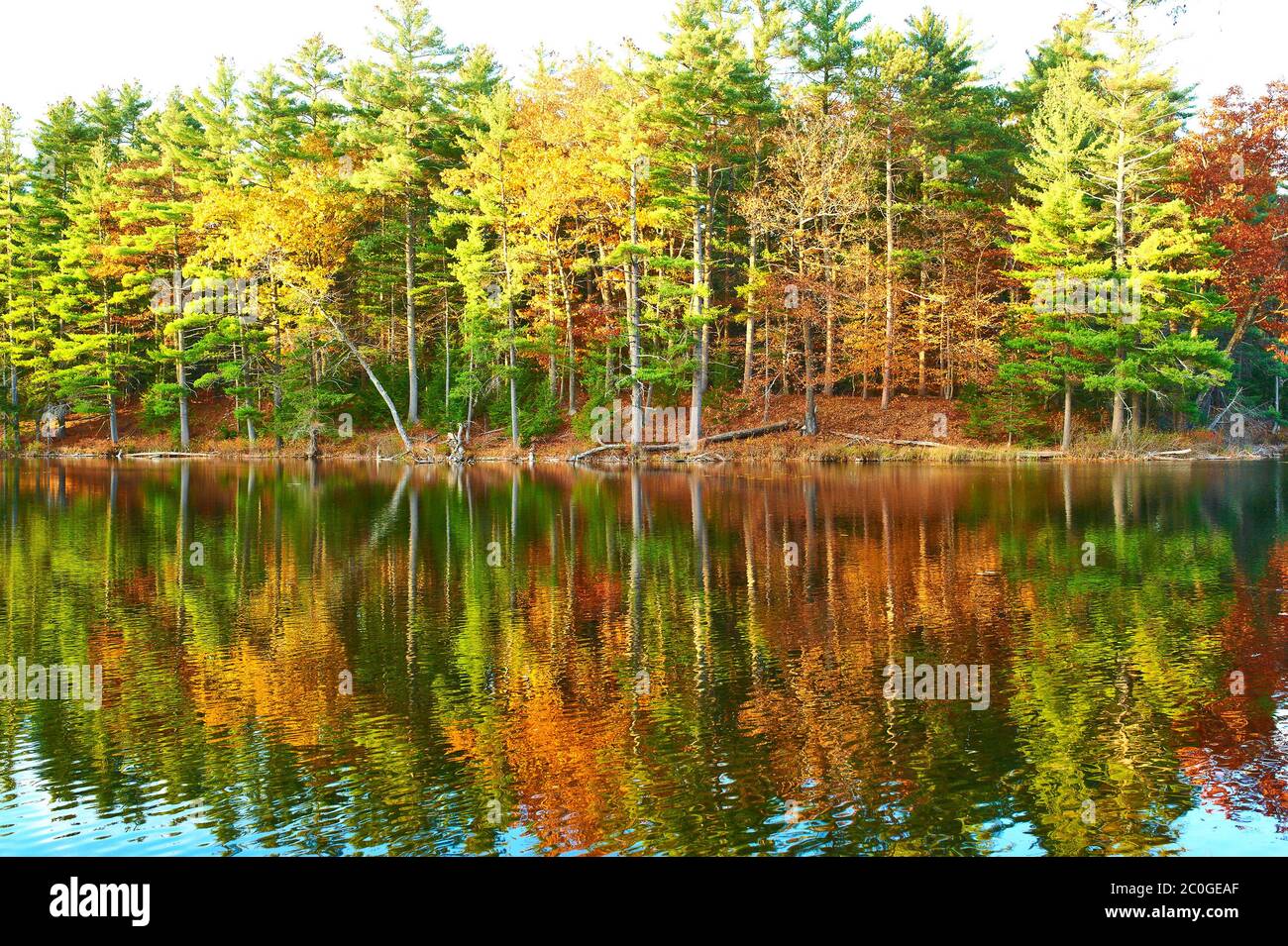 Pond in White Mountain National Forest, New Hampshire Stock Photo - Alamy
