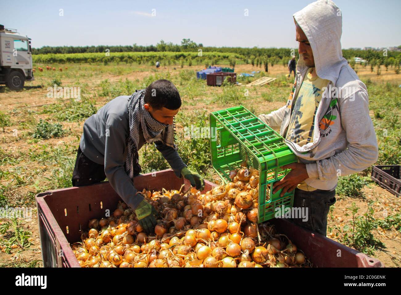 Palestinian perseverance hi-res stock photography and images - Alamy