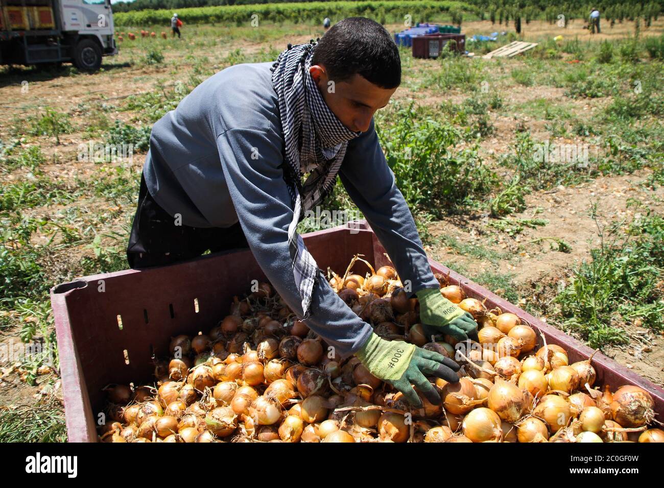 Palestinian perseverance hi-res stock photography and images - Alamy