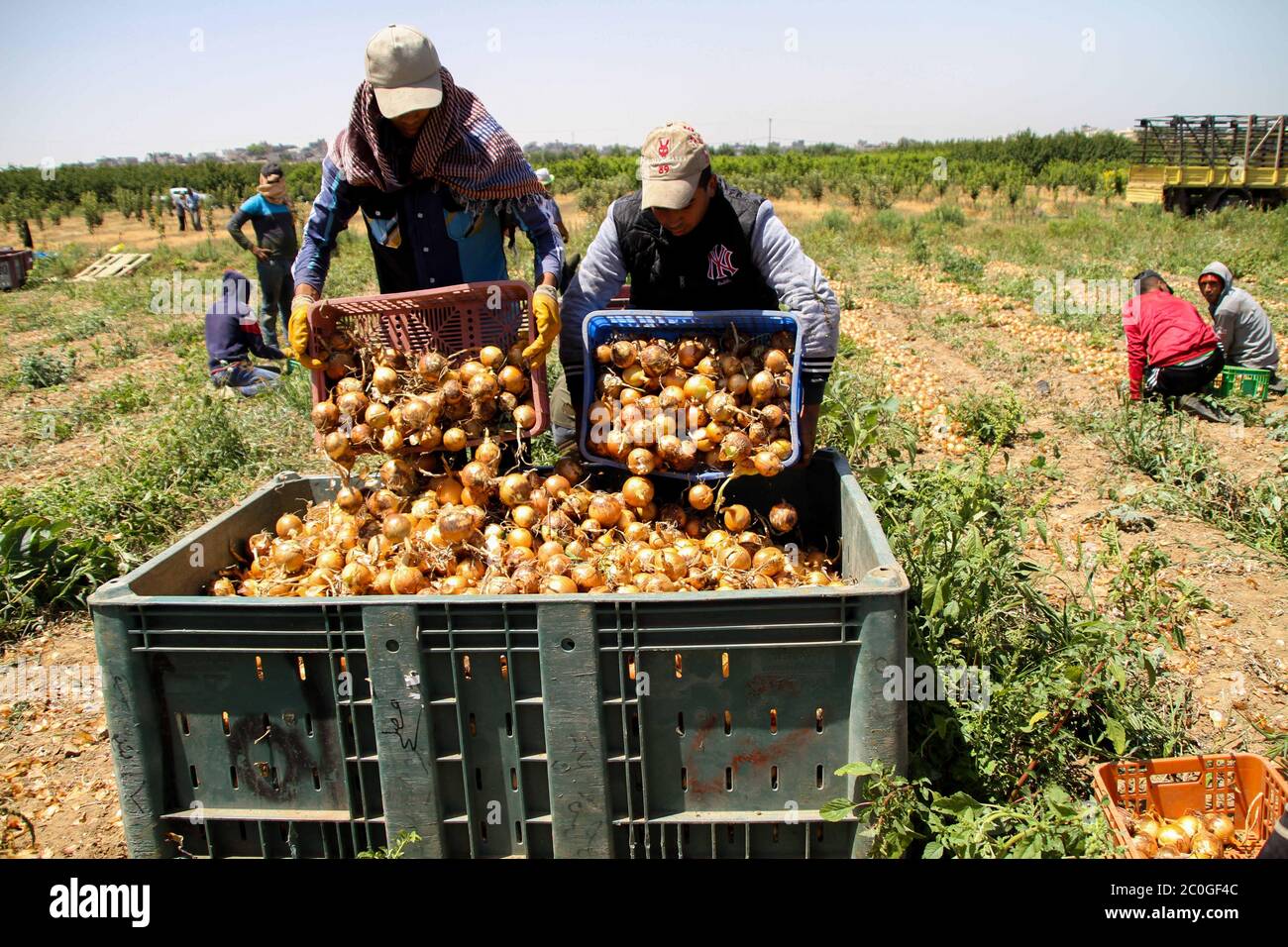 Palestinian perseverance hi-res stock photography and images - Alamy